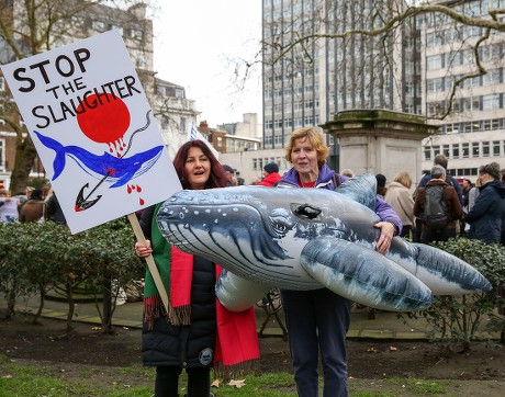 Anti-Whaling protest, London, UK - 26 Jan 2019 Stock Pictures ...