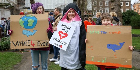 Anti-Whaling protest, London, UK - 26 Jan 2019 Stock Pictures ...