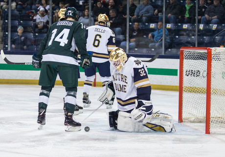Notre Dame Goaltender Cale Morris 32 Editorial Stock Photo - Stock ...