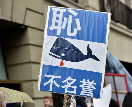 Anti-whaling protest, London, UK - 26 Jan 2019. Stock Pictures ...