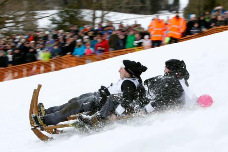 750 Sledge race Stock Pictures, Editorial Images and Stock Photos ...