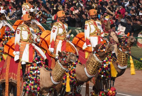 Bsf Camel Contingents Pass Through Saluting Editorial Stock Photo ...