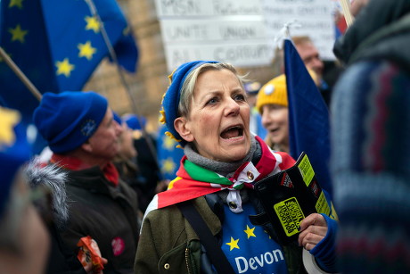 Pro Eu Campaigner Outside Parliament London Editorial Stock Photo ...