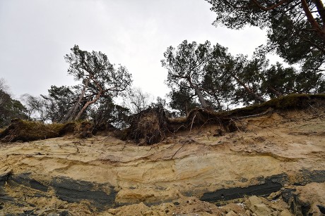 Overturned Trees Damaged Slopes After Last Editorial Stock Photo ...