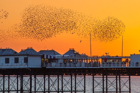 __COUNT__ Seasonal weather, Brighton, UK - 02 Feb 2019 Stock Pictures ...