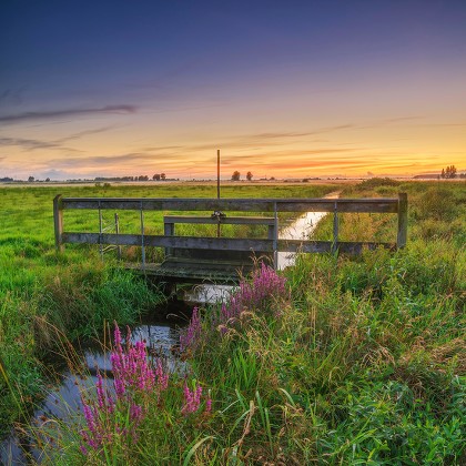 250 Irrigation ditch Stock Pictures, Editorial Images and Stock Photos ...