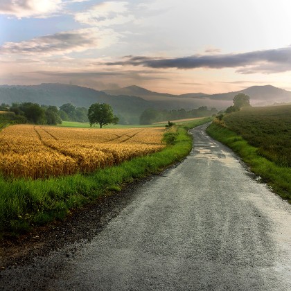 Small Country Road Early Morning Puy Editorial Stock Photo - Stock ...