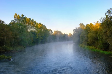 500 Fog patch Stock Pictures, Editorial Images and Stock Photos ...