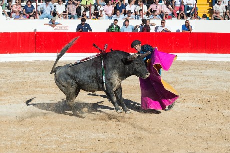 500 Bull fight in arena Stock Pictures, Editorial Images and Stock ...