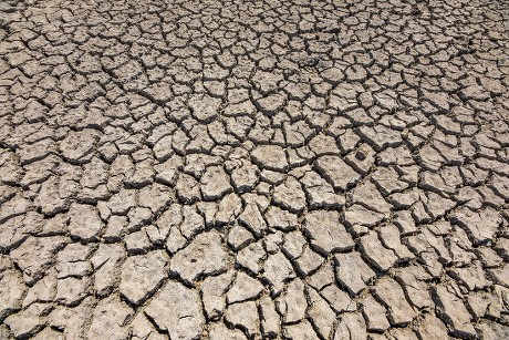 500 Barren ground Stock Pictures, Editorial Images and Stock Photos ...