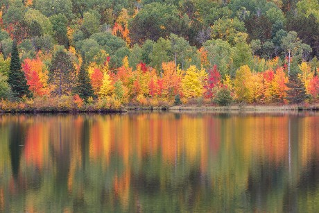 500 Canadian colors Stock Pictures, Editorial Images and Stock Photos ...