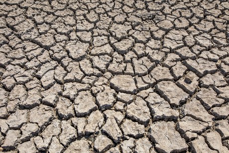 500 Barren ground Stock Pictures, Editorial Images and Stock Photos ...