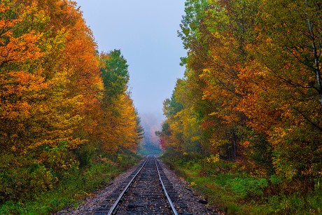 500 Canadian colors Stock Pictures, Editorial Images and Stock Photos ...