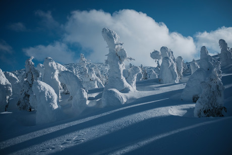 __COUNT__ imágenes de Zao Snow Monsters, Mount Zao, Japan - 06 Feb 2019 ...