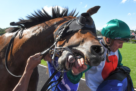 Jockey Joshua Parr Seen Mounting Yard Editorial Stock Photo - Stock ...