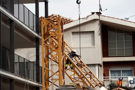 250 Falling crane Stock Pictures, Editorial Images and Stock Photos ...