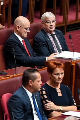 One Nation Senator Pauline Hanson Bottom Editorial Stock Photo - Stock ...