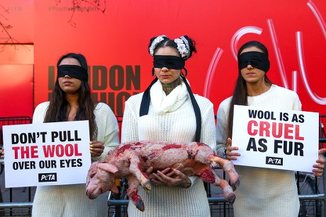 Three Blindfolded Peta People Ethical Treatment Editorial Stock Photo ...
