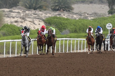 Dubai Horse Racing, Jebel Ali Racecourse, Dubai, United Arab Emirates ...