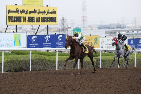 Dubai Horse Racing, Jebel Ali Racecourse, Dubai, United Arab Emirates ...
