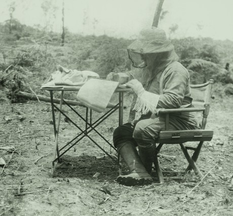 41 Colonel theodore roosevelt Stock Pictures, Editorial Images and ...