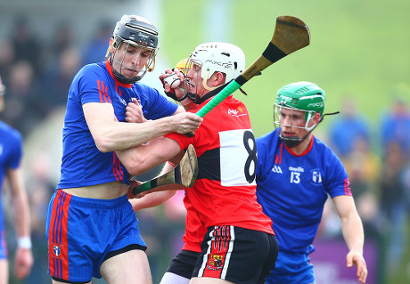 Ucc Vs Mary Immaculate College Limerick Editorial Stock Photo - Stock ...