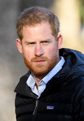 prince harry portraits Stock Photos (Exclusive) | Shutterstock