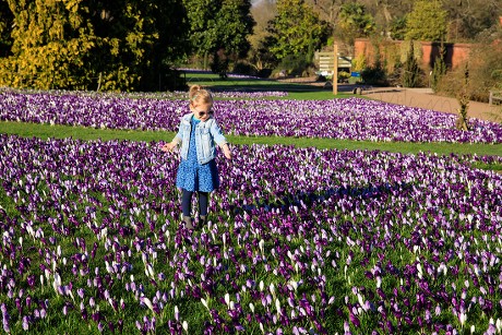Garden Visitors Laura Fidler Daughter Everly Editorial Stock Photo ...