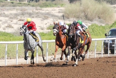 Dubai Horse Racing, Jebel Ali Racecourse, Dubai, United Arab Emirates ...