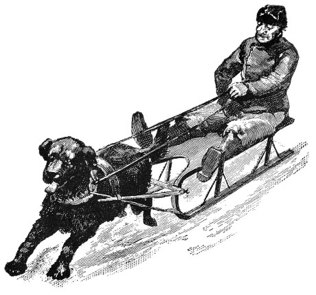 Newfoundland Dog Sled Canada Illustration Classical Editorial Stock ...