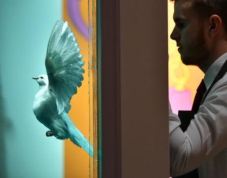 Damien Hirst Incomplete Truth Estimate Christies Editorial Stock Photo ...
