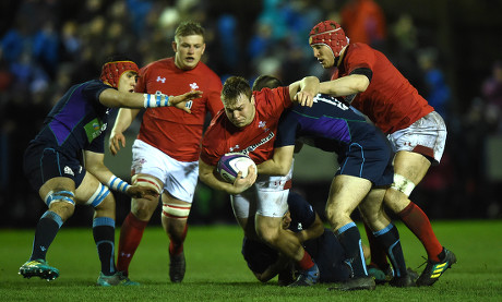 Cai Evans Wales Looks Support Editorial Stock Photo - Stock Image ...