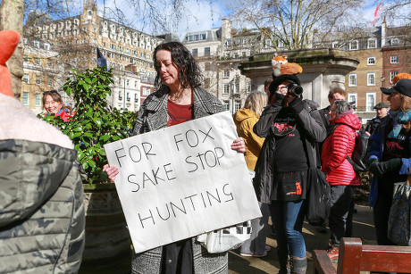 750 Anti fox hunting Stock Pictures, Editorial Images and Stock Photos ...