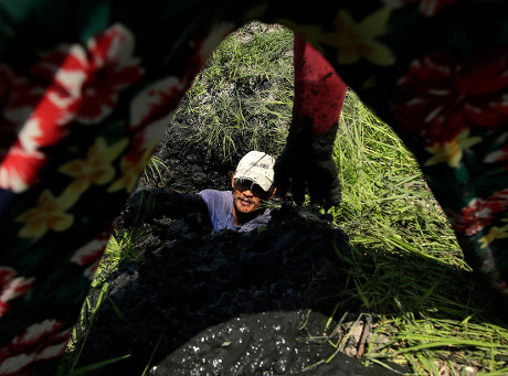 Filipino Farmers Dig Hole Ground Find Editorial Stock Photo - Stock ...