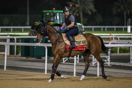 Cheval Grand Jpn Exercising Morning Trackwork Editorial Stock Photo ...