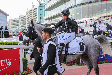 Dubai World Cup, Horse Racing, Meydan Racecourse, Dubai, United Arab ...