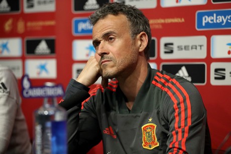 Spains National Soccer Team Head Coach Editorial Stock Photo - Stock ...