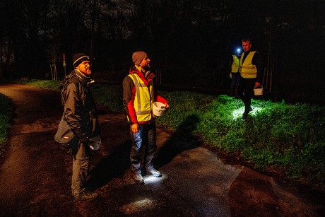 Volunteers Helps Frogs Cross Road Order Editorial Stock Photo - Stock ...