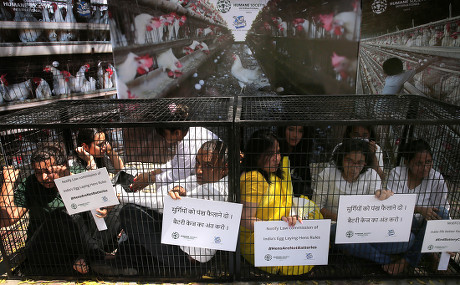 Indian Activists Humane Society International India Editorial Stock ...