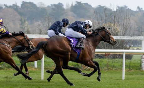 Leopardstown Racing, Leopardstown Racecourse, Dublin - 06 Apr 2019 ...