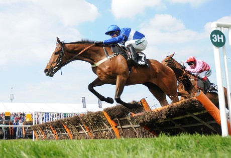 Ruby Walsh His Wife Gillian Their Editorial Stock Photo - Stock Image ...