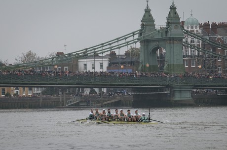 250 Callum sullivan Stock Pictures, Editorial Images and Stock Photos ...