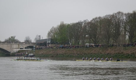 250 Callum sullivan Stock Pictures, Editorial Images and Stock Photos ...