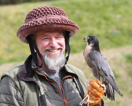 Falcon breeding hat, Scotland, UK - 12 Apr 2019 Stock Pictures ...