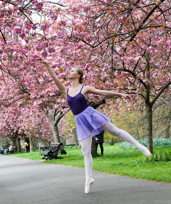 39 Ballet trees Stock Pictures, Editorial Images and Stock Photos ...