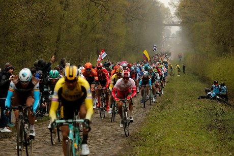 Pack Riders Action On 29th Cobblestone Editorial Stock Photo - Stock ...