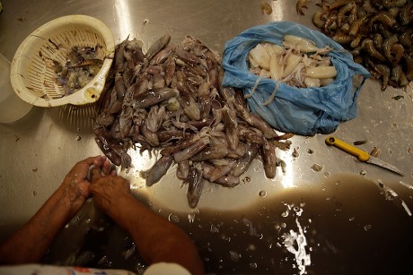 Woman Cleans Squid During Holy Week Editorial Stock Photo - Stock Image ...
