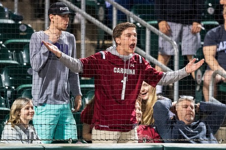 South Carolina Fan During Ncaa College Editorial Stock Photo - Stock ...