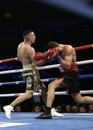Honduranamerican Boxing Nabf Lightweight Champion Teofimo Editorial ...