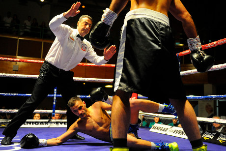 __COUNT__ Sanigar Events Show, Boxing, Riviera International Conference ...